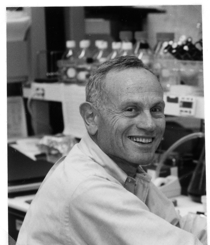 Expert interview with Michael B. Sporn, MD, the “Father of ...